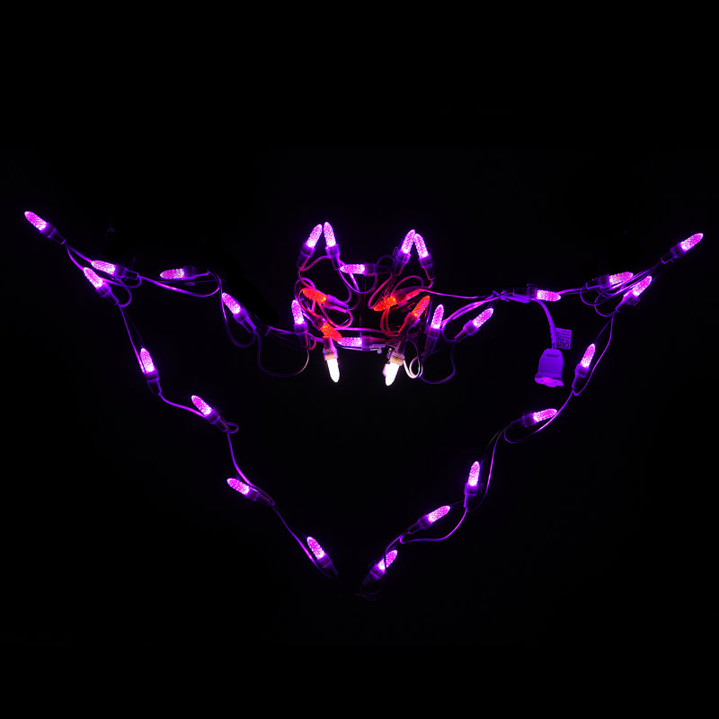 The Holiday Aisle® 23" Lighted Vlad the Bat Halloween Decoration | Wayfair