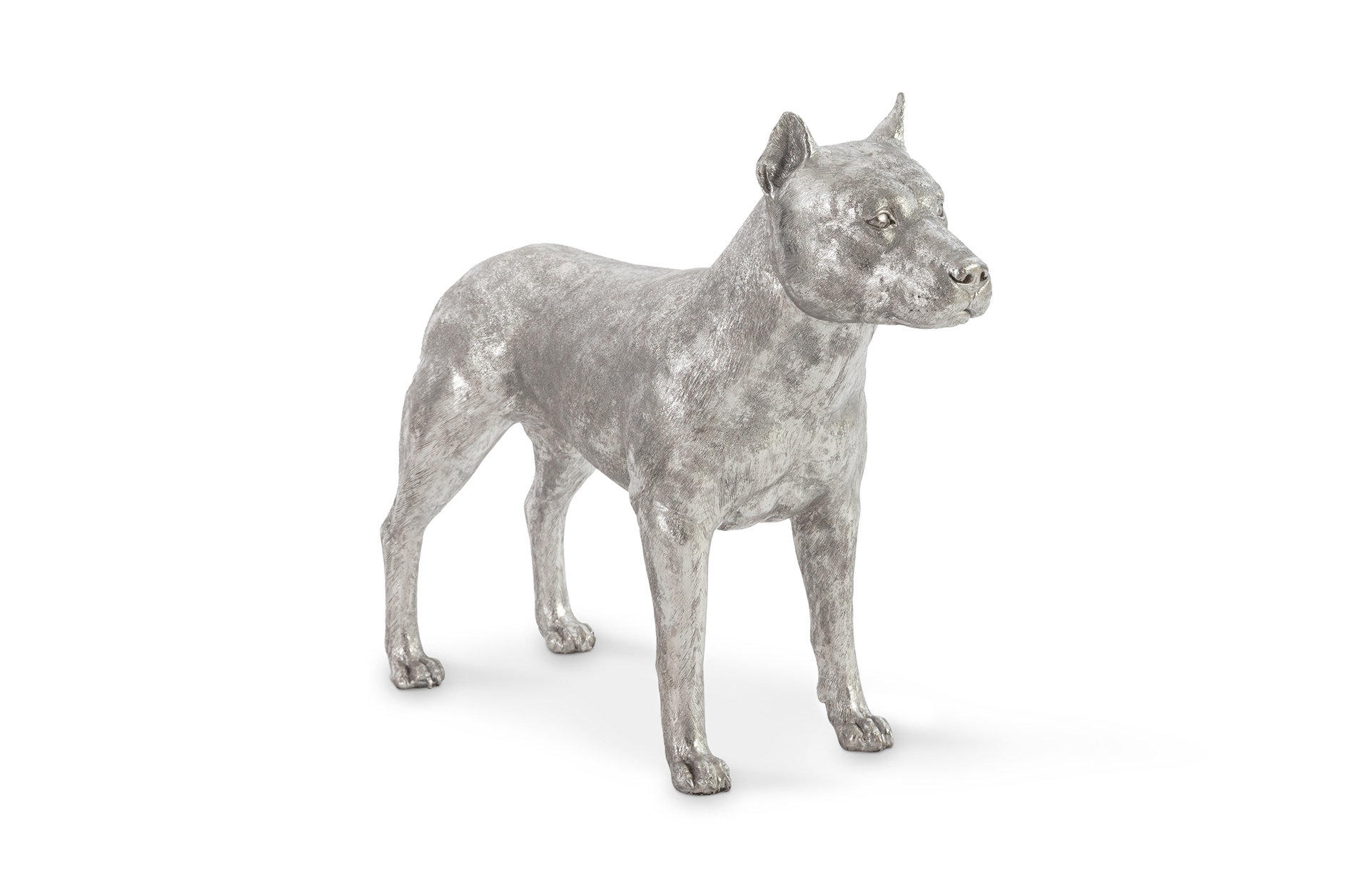 Phillips Collection Animals Pit Bull Statue | Perigold