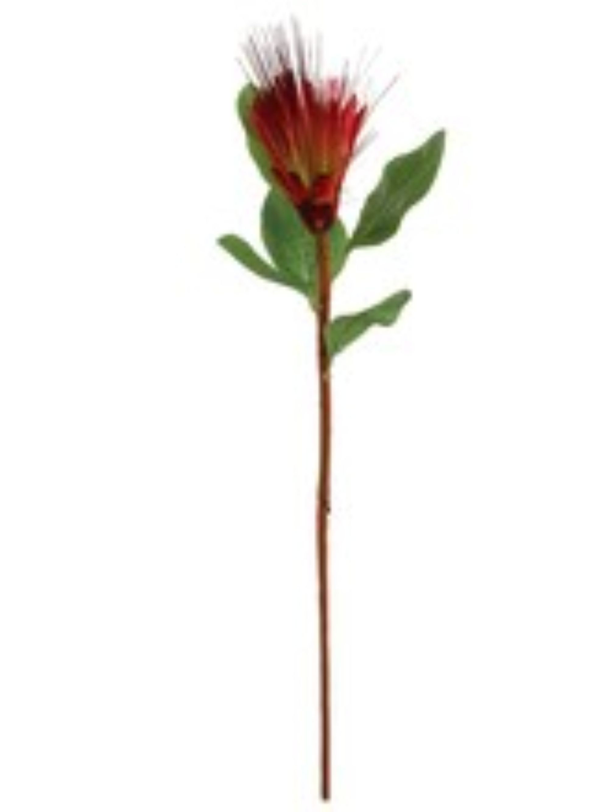 Primrue 3pc 30" Orange Royal Protea Spray | Wayfair