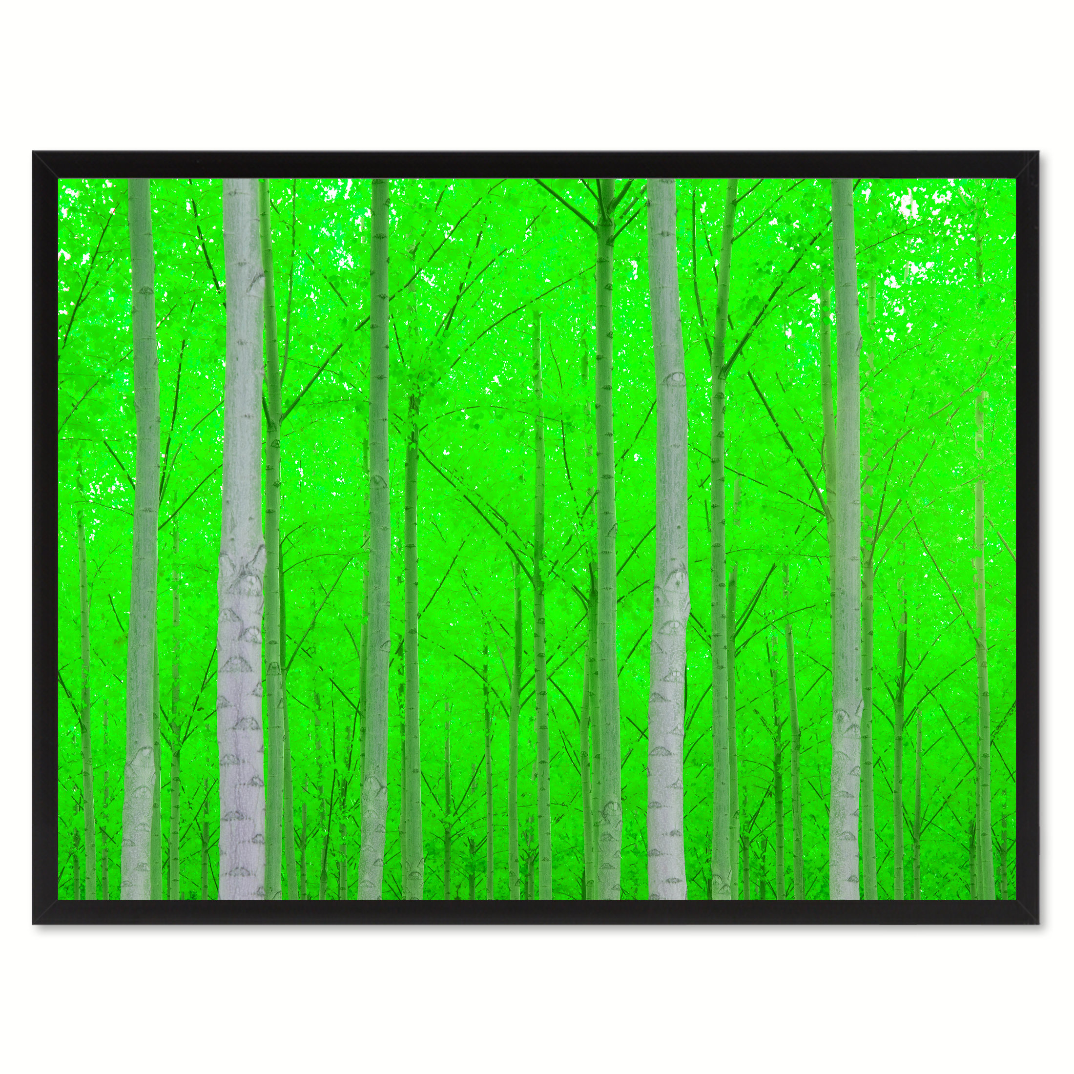 Millwood Pines Autumn Tree Green Landscape Photo Print on Canvas with ...