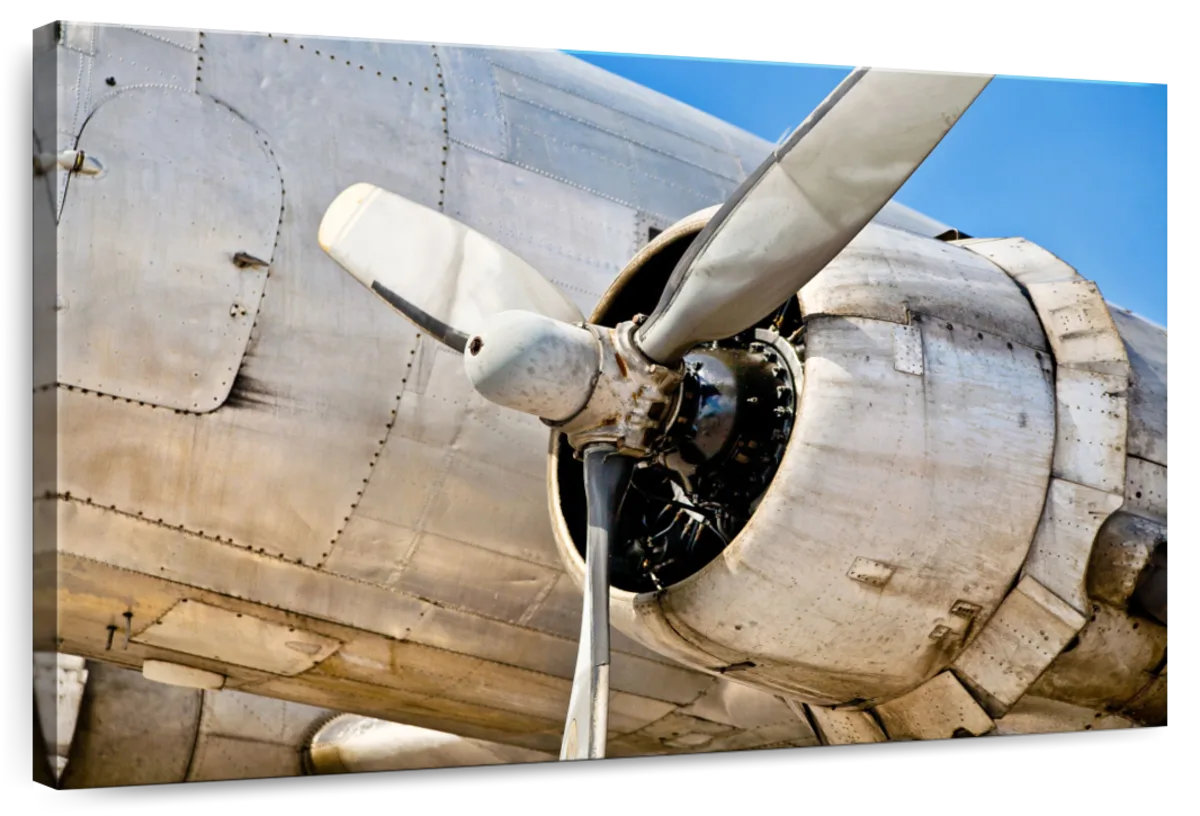 Elephant Stock Military Propeller Airplane | Wayfair