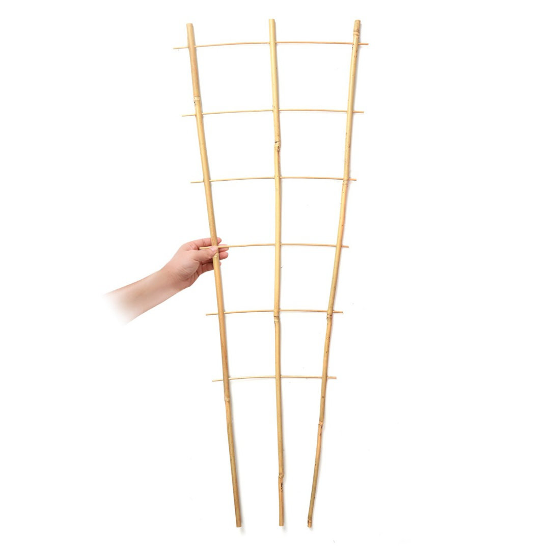 Ophelia & Co. 6 Pack 3Ft Bamboo Trellis For Climbing Plants,35.5 Inch ...