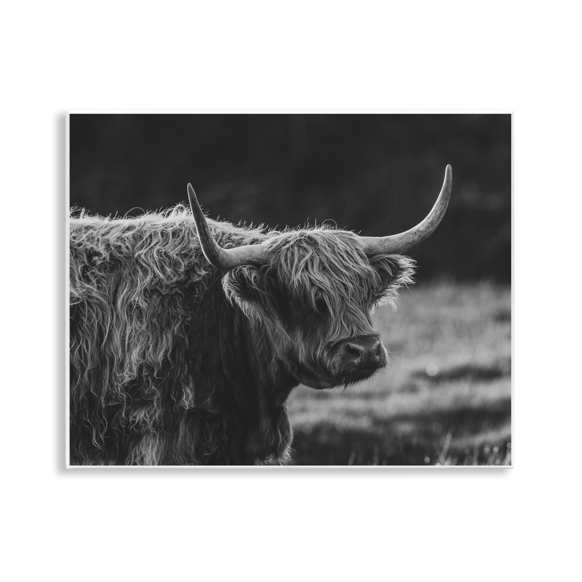 Bay Isle Home™ Plaque murale Bold Scottish Highland, design par Crystal ...