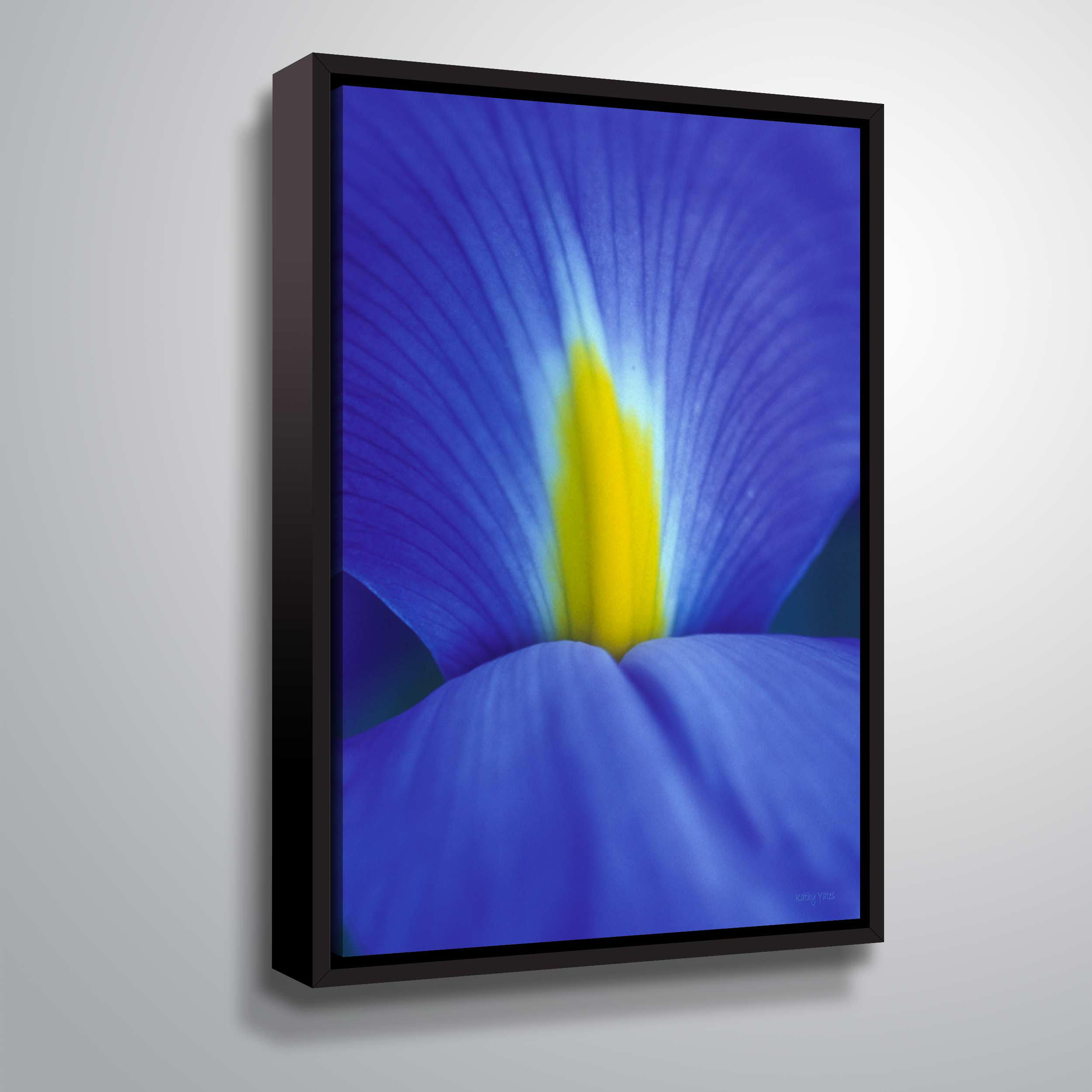 Ebern Designs Iris Abstract - Photograph Print on Canvas - Wayfair Canada