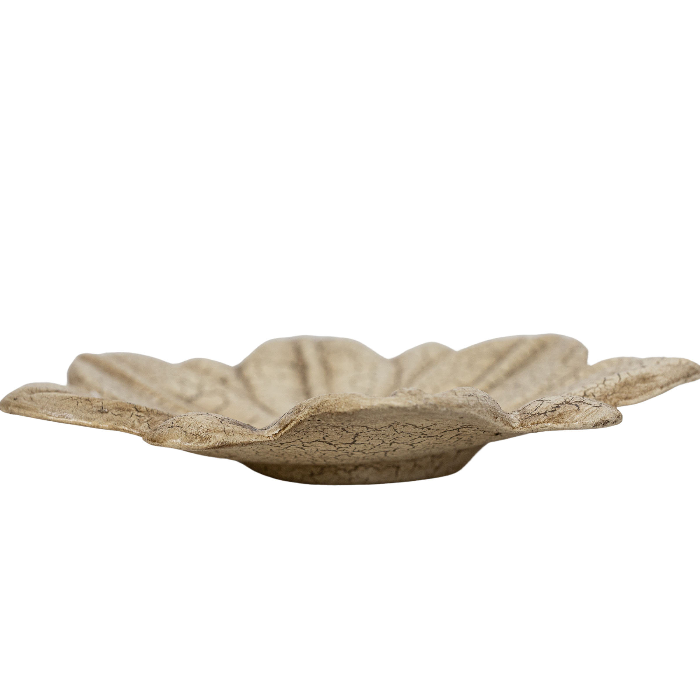 Foreside Home & Garden Paper Mache Tray - Wayfair Canada