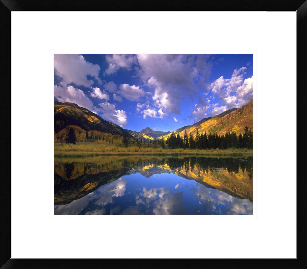 Global Gallery Haystack Mountain Reflected in Beaver Pond, Maroon Bells ...