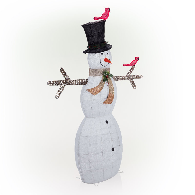 The Holiday Aisle® Snowman Lighted Display & Reviews | Wayfair