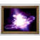 Ivy Bronx Pink Exploding Star Framed Print | Wayfair.co.uk