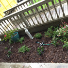 Design Toscano Blessed Mother of the Heavens Immaculate Conception Mary ...