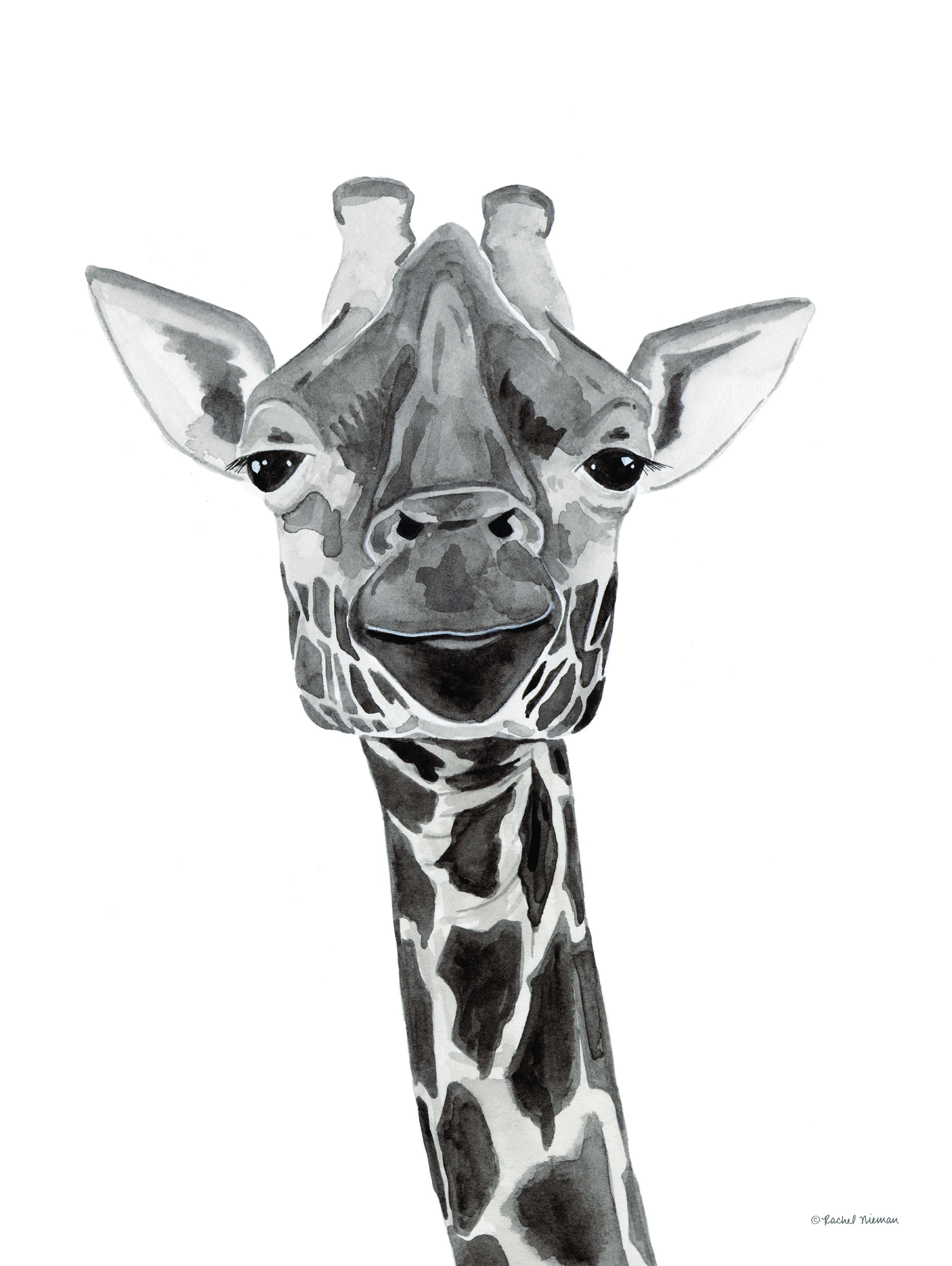 Bungalow Rose Safari Giraffe Peek-A-Boo by Rachel Nieman - Wrapped ...
