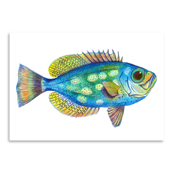 House of Hampton Glasseye Snapper 2 By T.J. Heiser - Poster Art Print ...