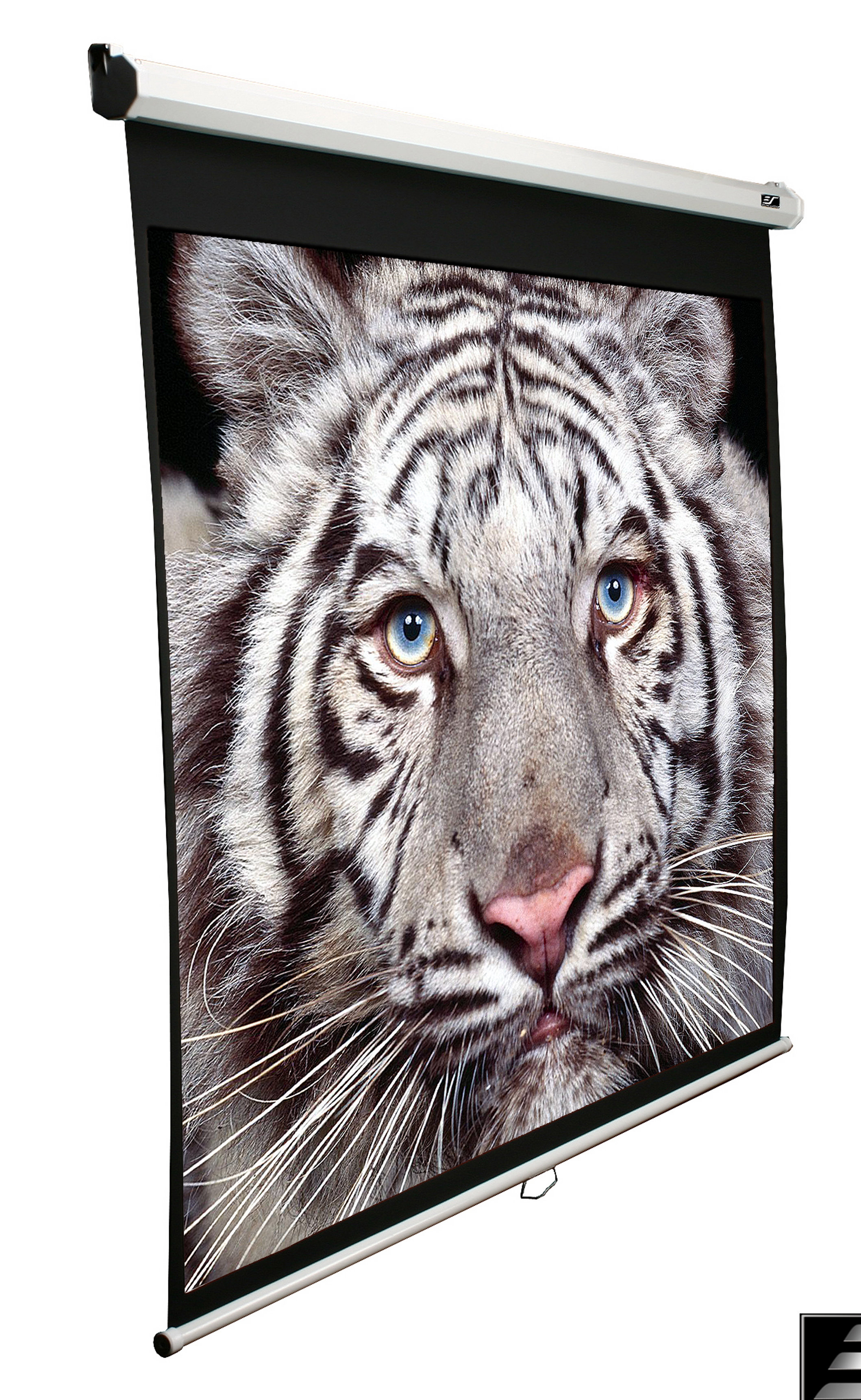 Elite Screens Écran de projecteur mural manuel / mural blanc et ...
