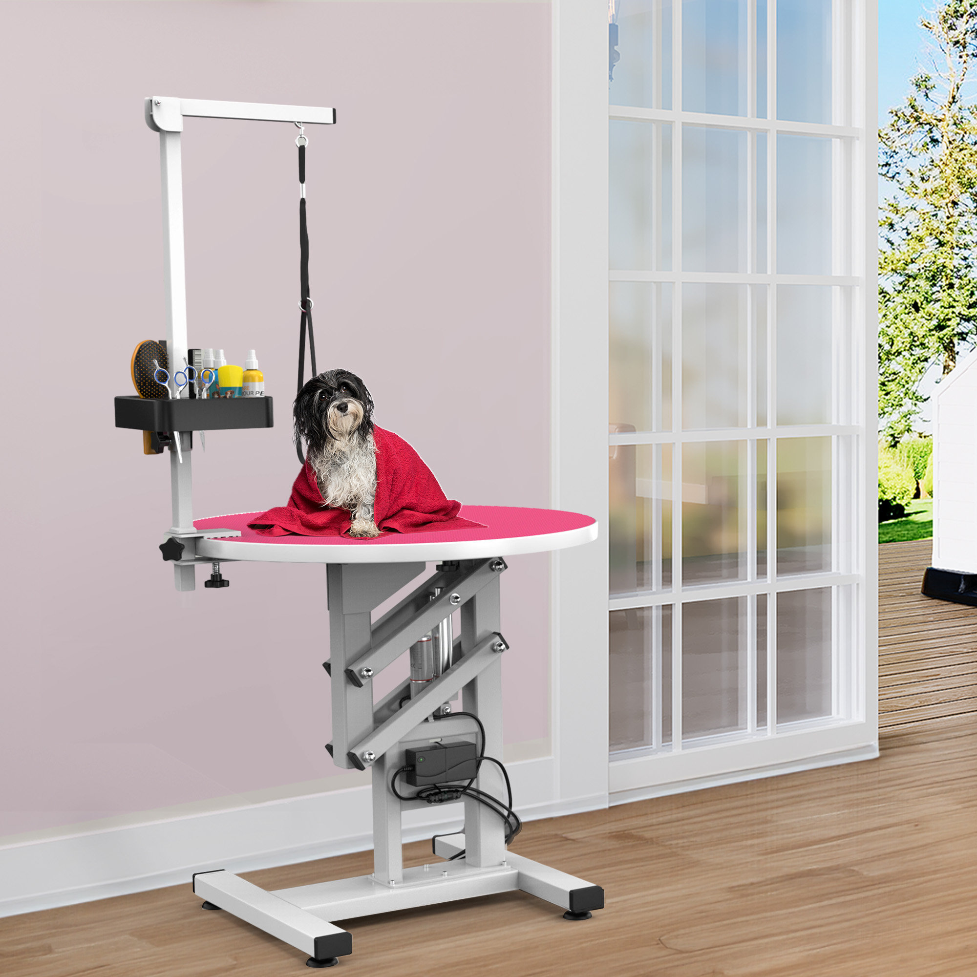 Balconera 24" Electric Lift Dog Grooming Table with Hair Dryer Holder ...