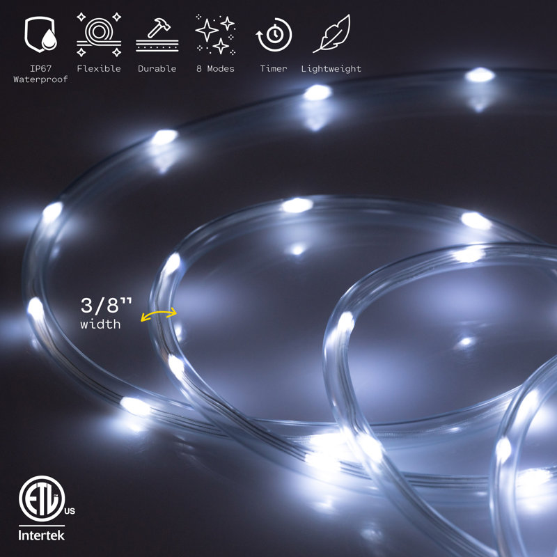 The Holiday Aisle® 100ft 8-Mode Waterproof LED Rope Light | Wayfair