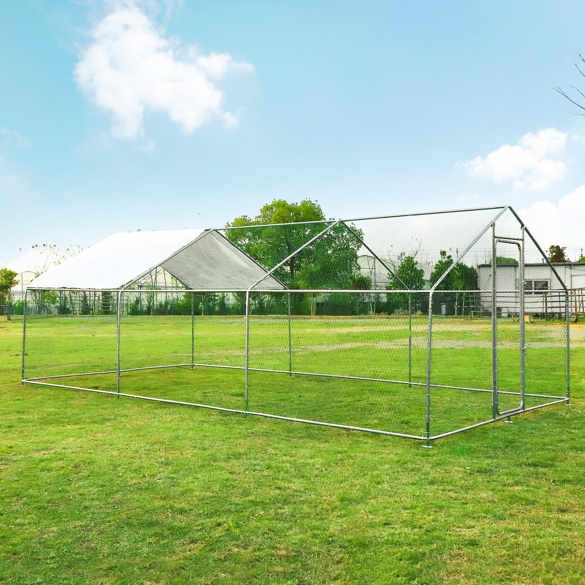 Tucker Murphy Pet™ Eemeli 193.75 Square Feet Chicken Coop with Chicken ...