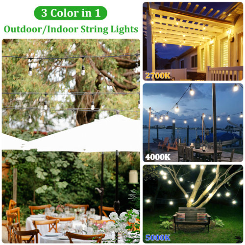 Wayfair | Solar String Lights You'll Love in 2023