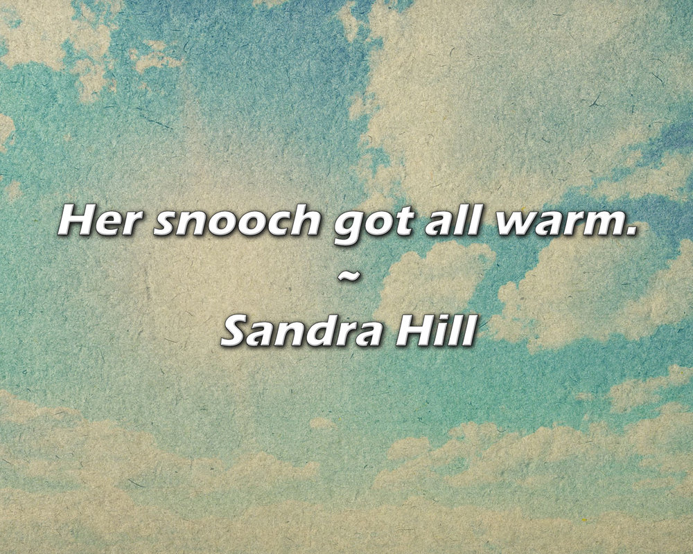 ATX Art Group LLC Sandra Hill Quote: Her snooch got all warm. - Wayfair ...