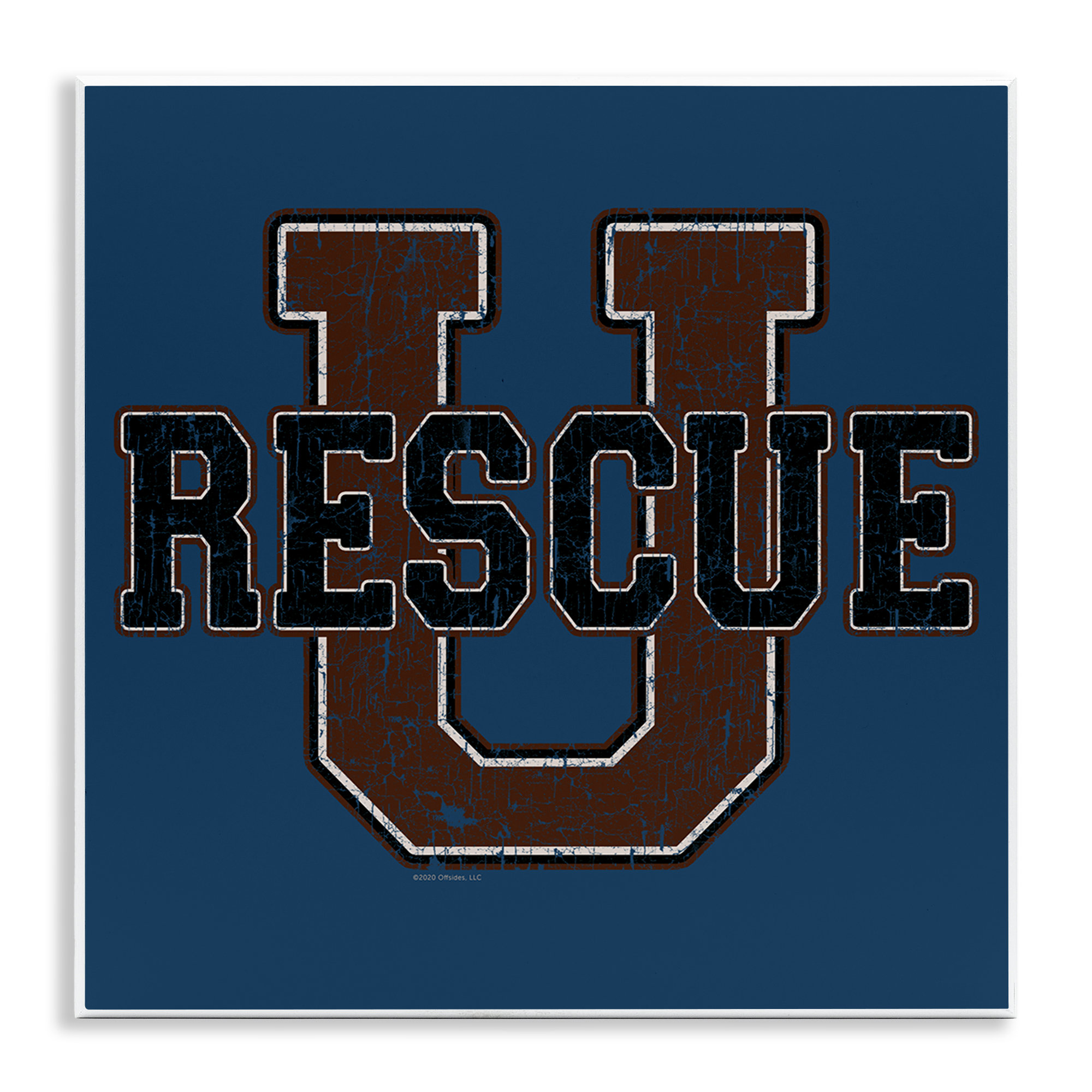 Dakota Fields Rescue U Vintage Varsity Wall Plaque Art by Spirit ...