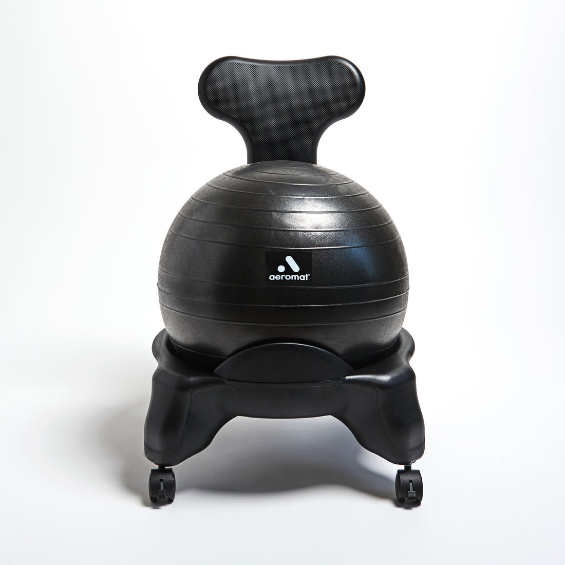 Symple Stuff Staten Ball Chair - Black & Reviews | Wayfair