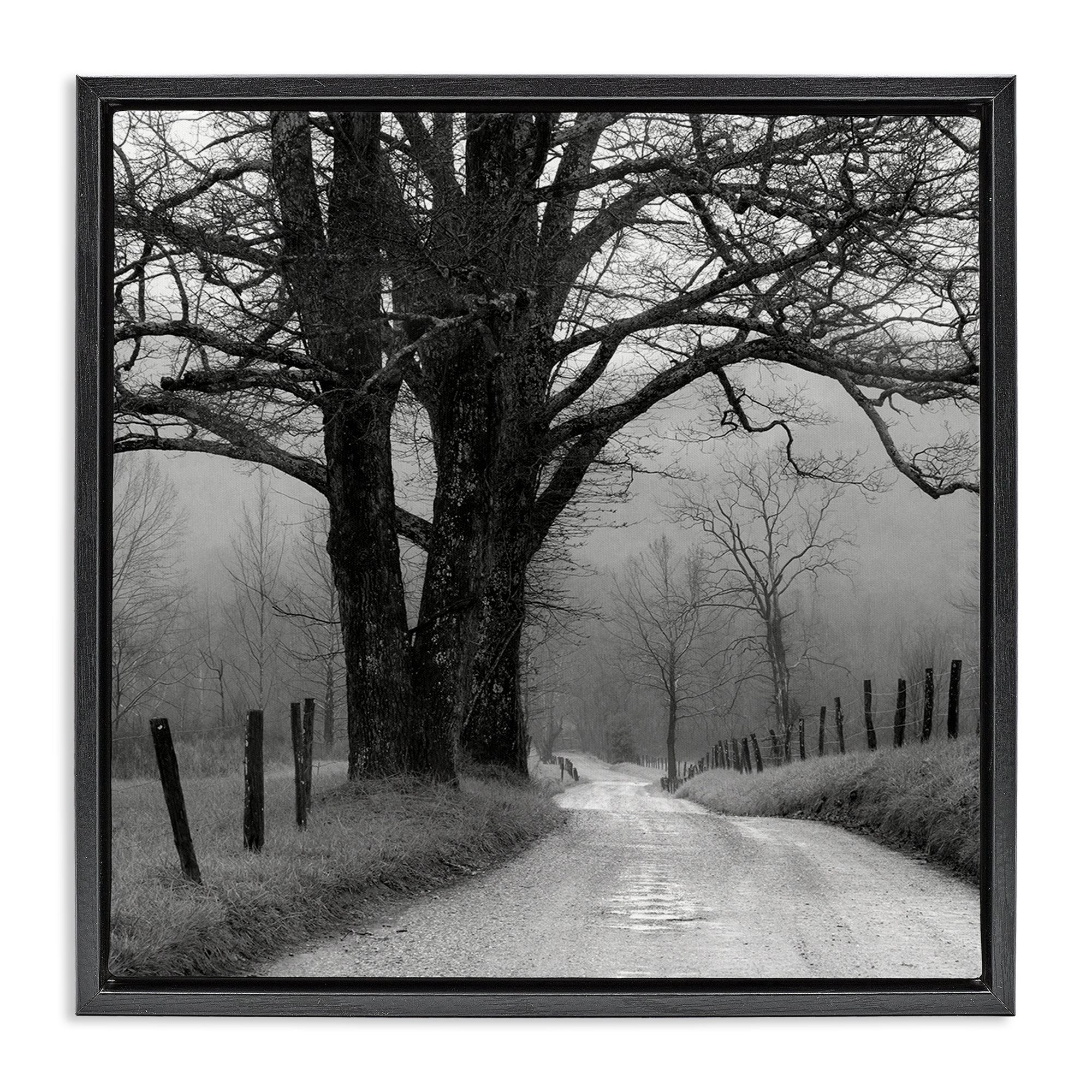 Winston Porter Lonely Path Toward Trees Framed Floater Canvas Wall Art ...