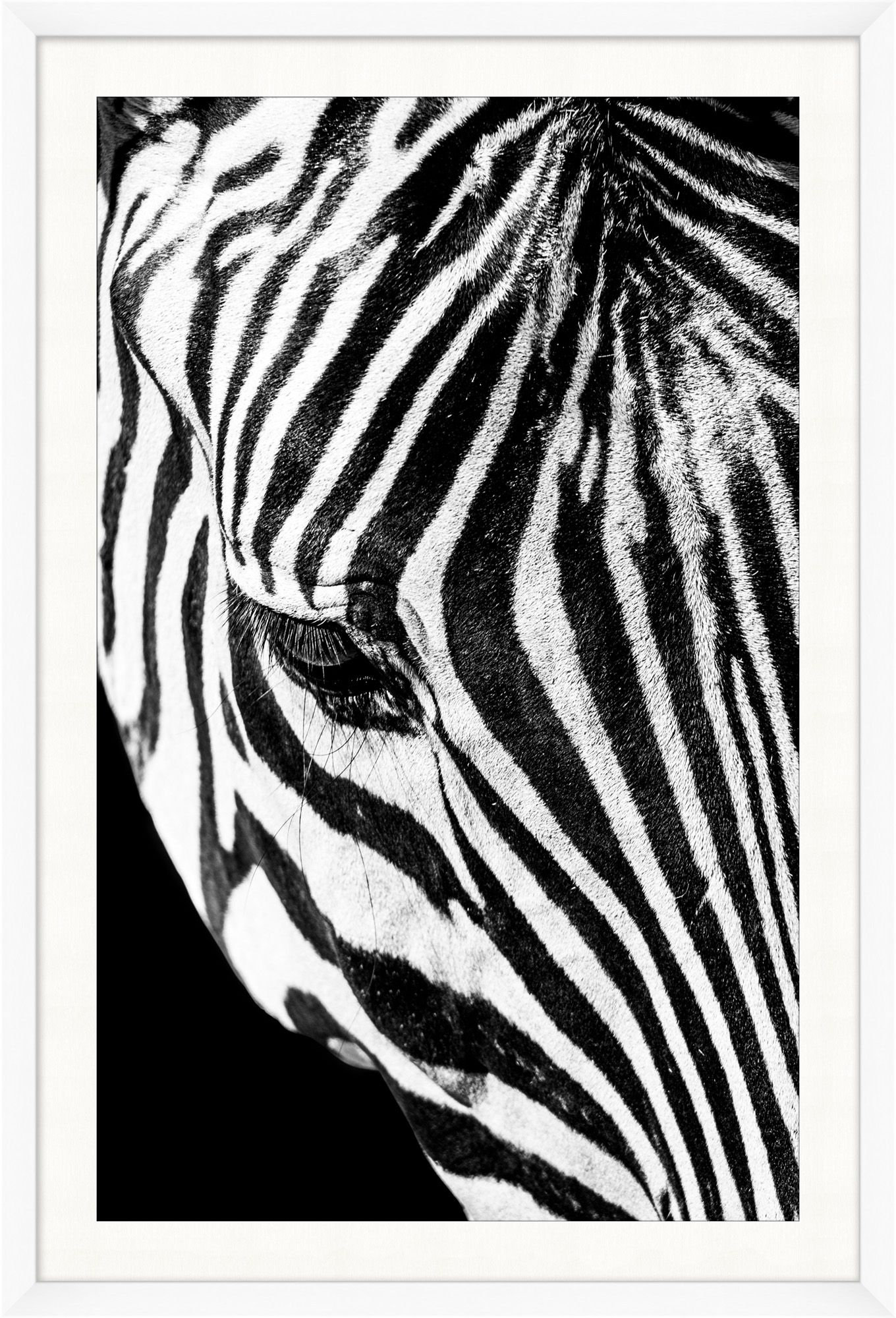 Wendover Art Group Dynamic Zebra 3 by Mat Sanders - Single Picture ...