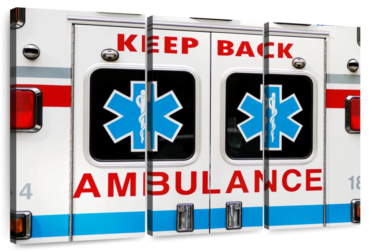 Ebern Designs Ambulance Distance Warning Sign - Wayfair Canada