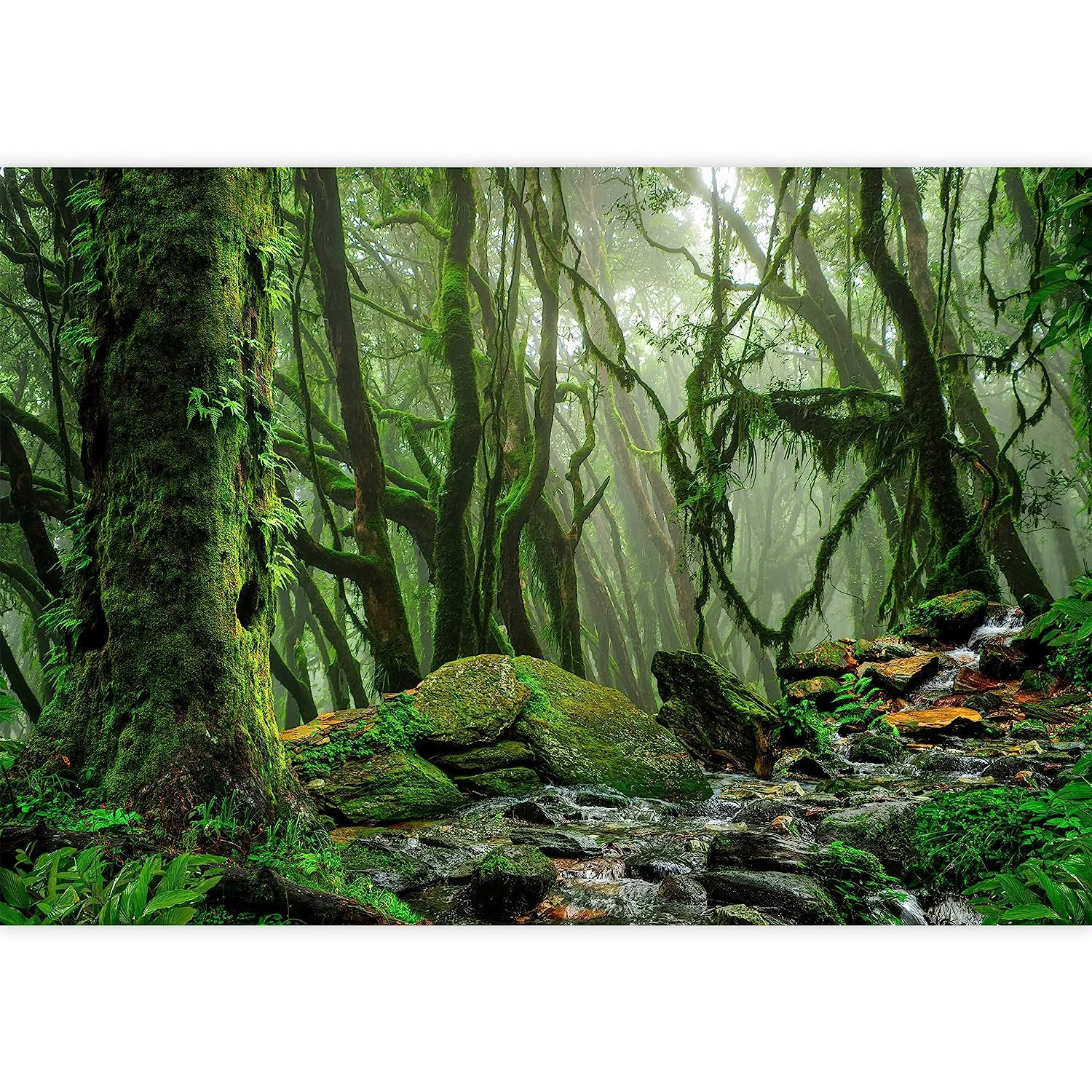 IDEA4WALL Mystic Misty Foggy Forest Tree Path Wall Mural | Wayfair