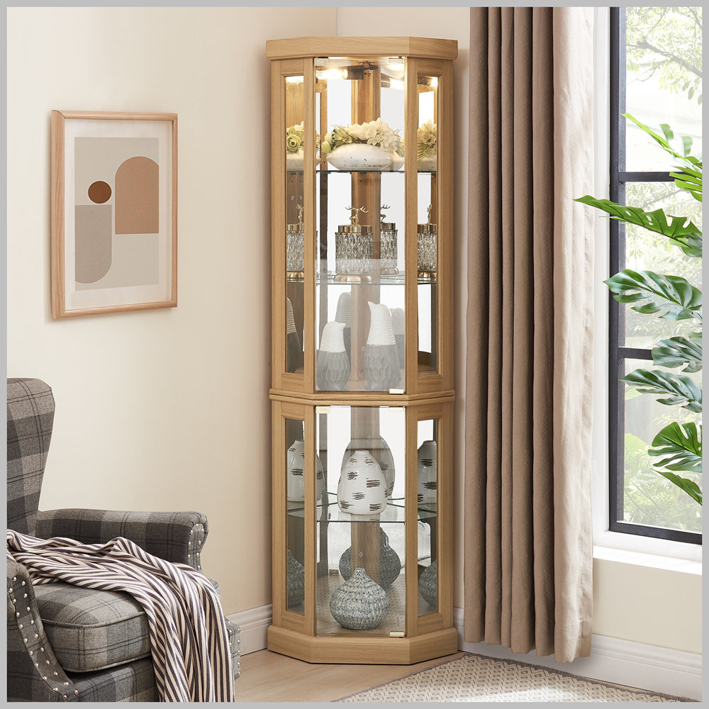 Ebern Designs Modern Lighted Glass Curio Display Cabinet With Storage ...