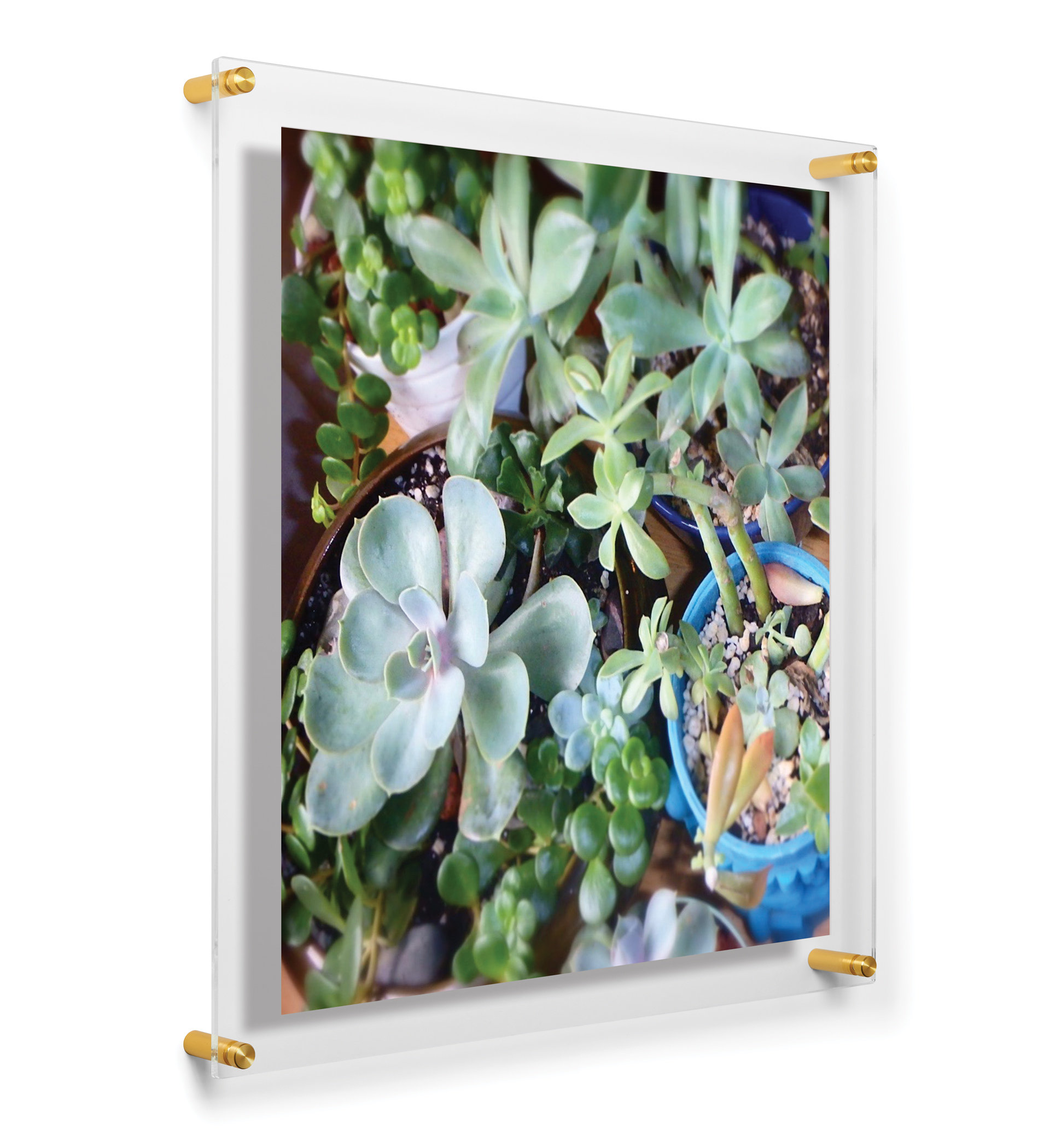 Wexel Art Double Panel Picture Frame & Reviews | Wayfair