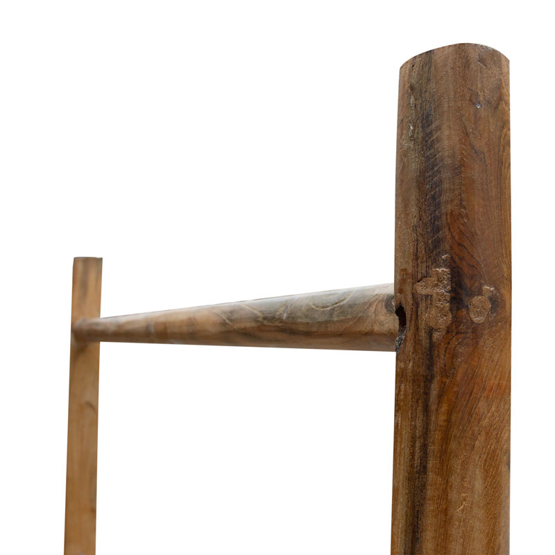 Union Rustic Norma Textile 1.5 ft Wood Ladder | Wayfair.co.uk