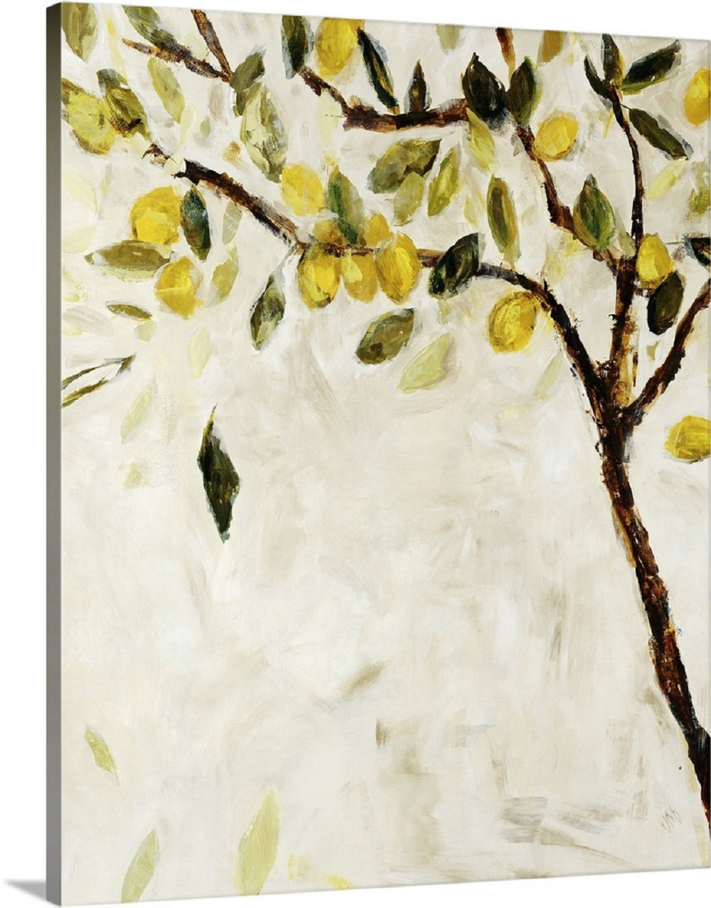 August Grove® 'Meyer Lemon Tree' Print & Reviews | Wayfair