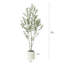 AllModern Altman Faux Olive Tree in White Planter, Lifelike Fake Olive ...
