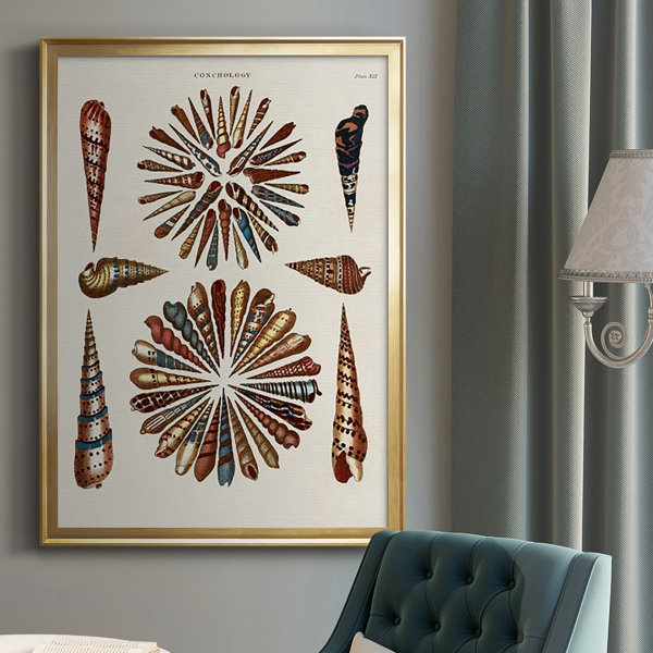 Dovecove " Spiral Shell Formation III " - Wayfair Canada