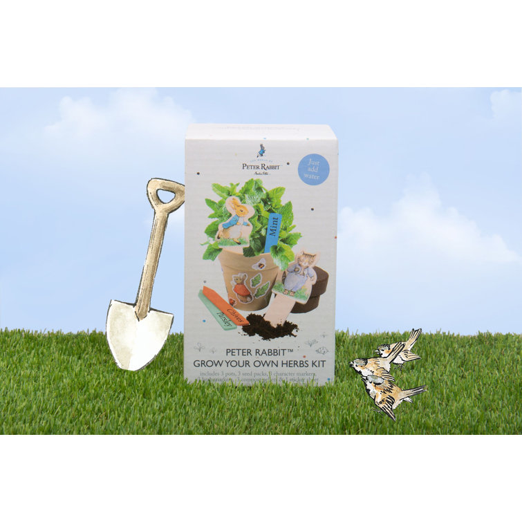 Peter Rabbit Grow Your Own Herbs Kit | Wayfair.co.uk