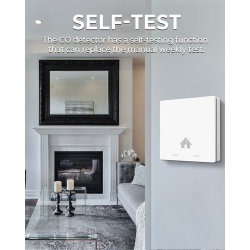 Ecoey Electrochemical Technology Carbon Monoxide Detector | Wayfair