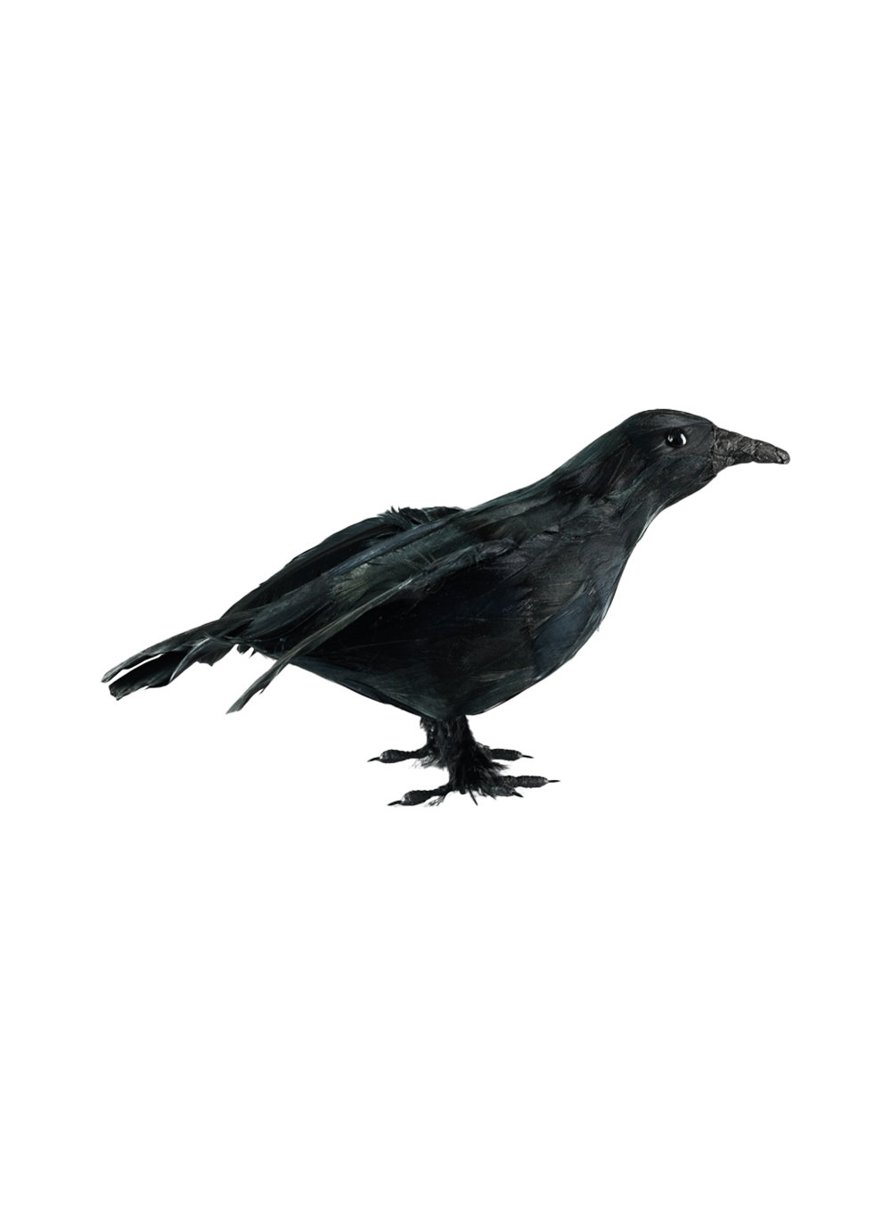 Scary Crow