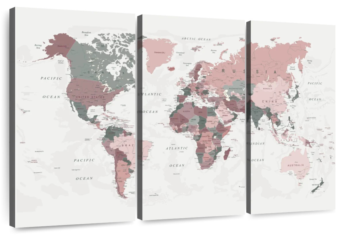 Elephant Stock World Map Pink Green | Wayfair