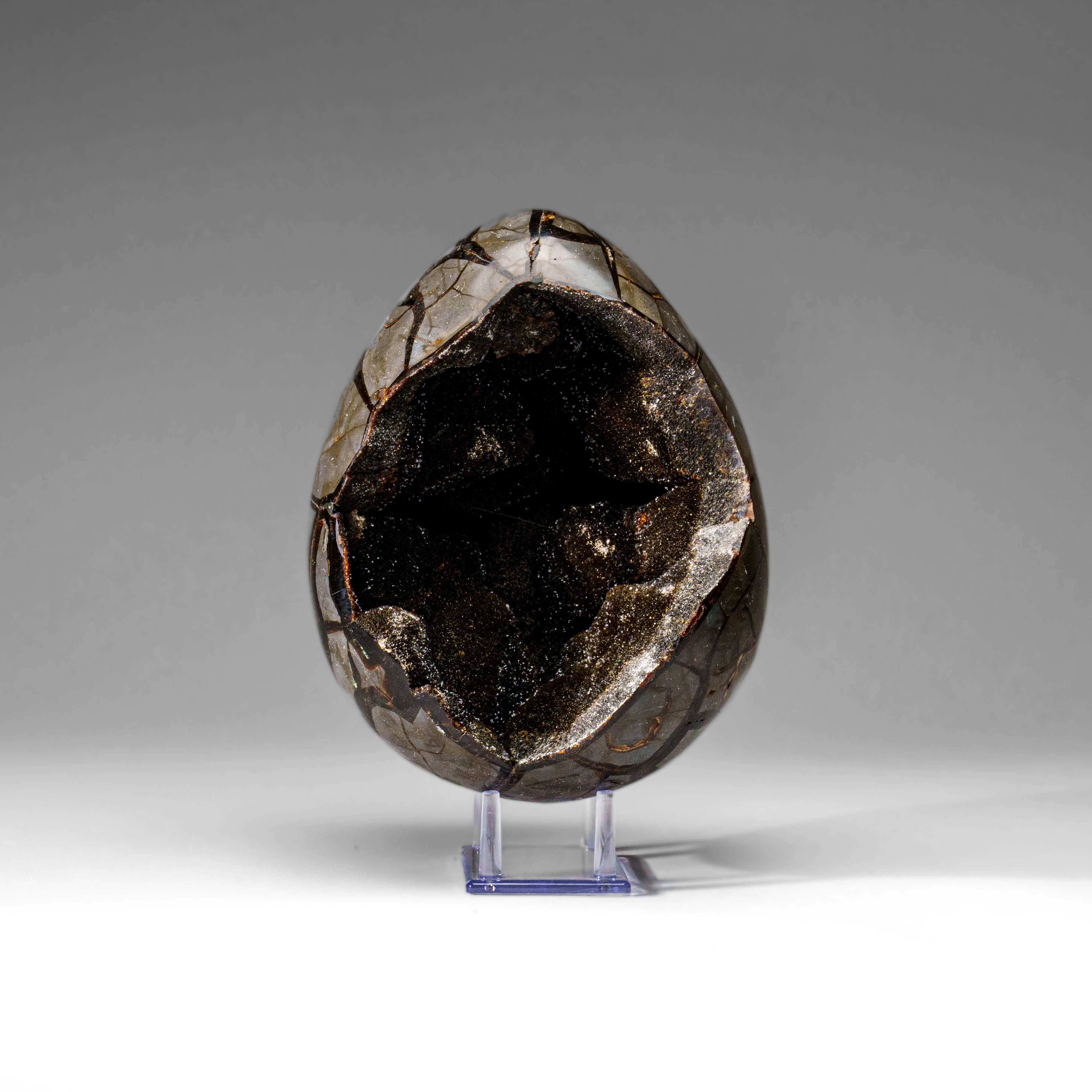 Astro Gallery of Gems Polished Septarian Druzy Geode Egg From ...