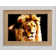 Bright Star Lion Mane - Single Picture Frame Print | Wayfair.co.uk