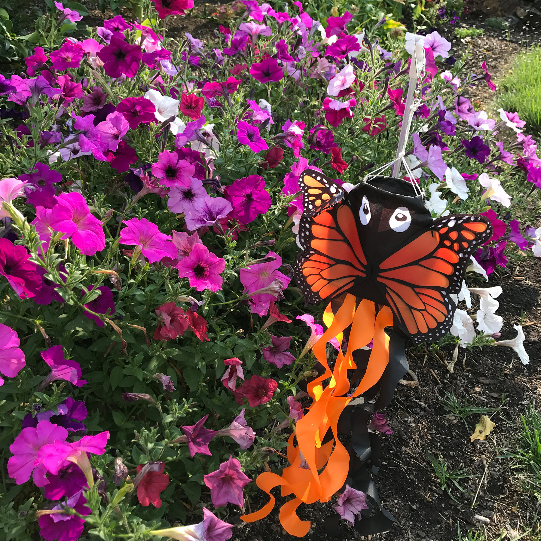 In The Breeze Monarch Butterfly Windsock on a Wand | Wayfair