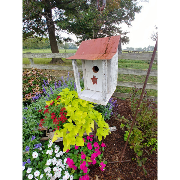 Home Bazaar Bird in Hand Bird Shack 13 in x 7 in x 7 in Birdhouse ...
