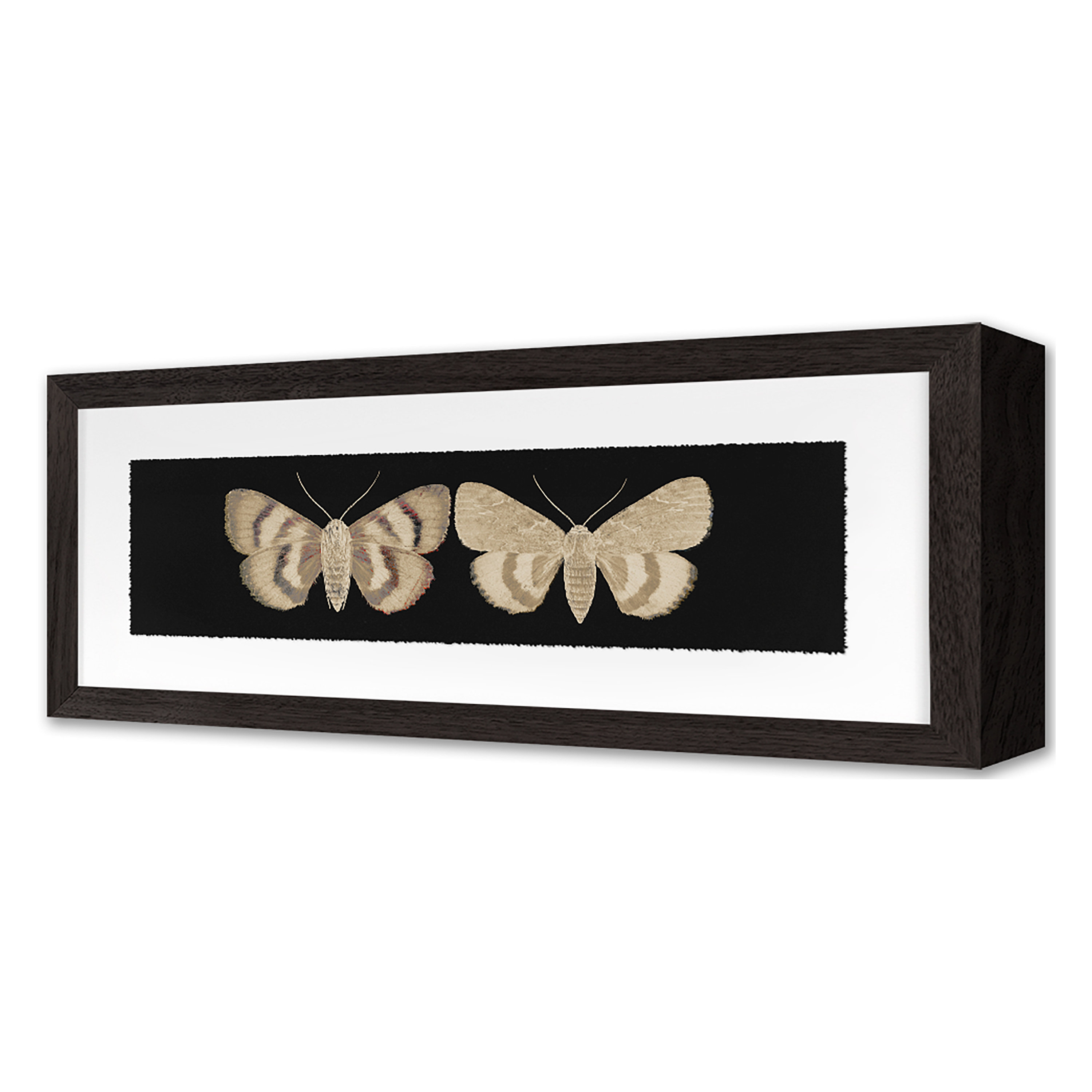 Grand Image Home Flutter 10 Framed On Paper by Katie Todaro Print | Wayfair