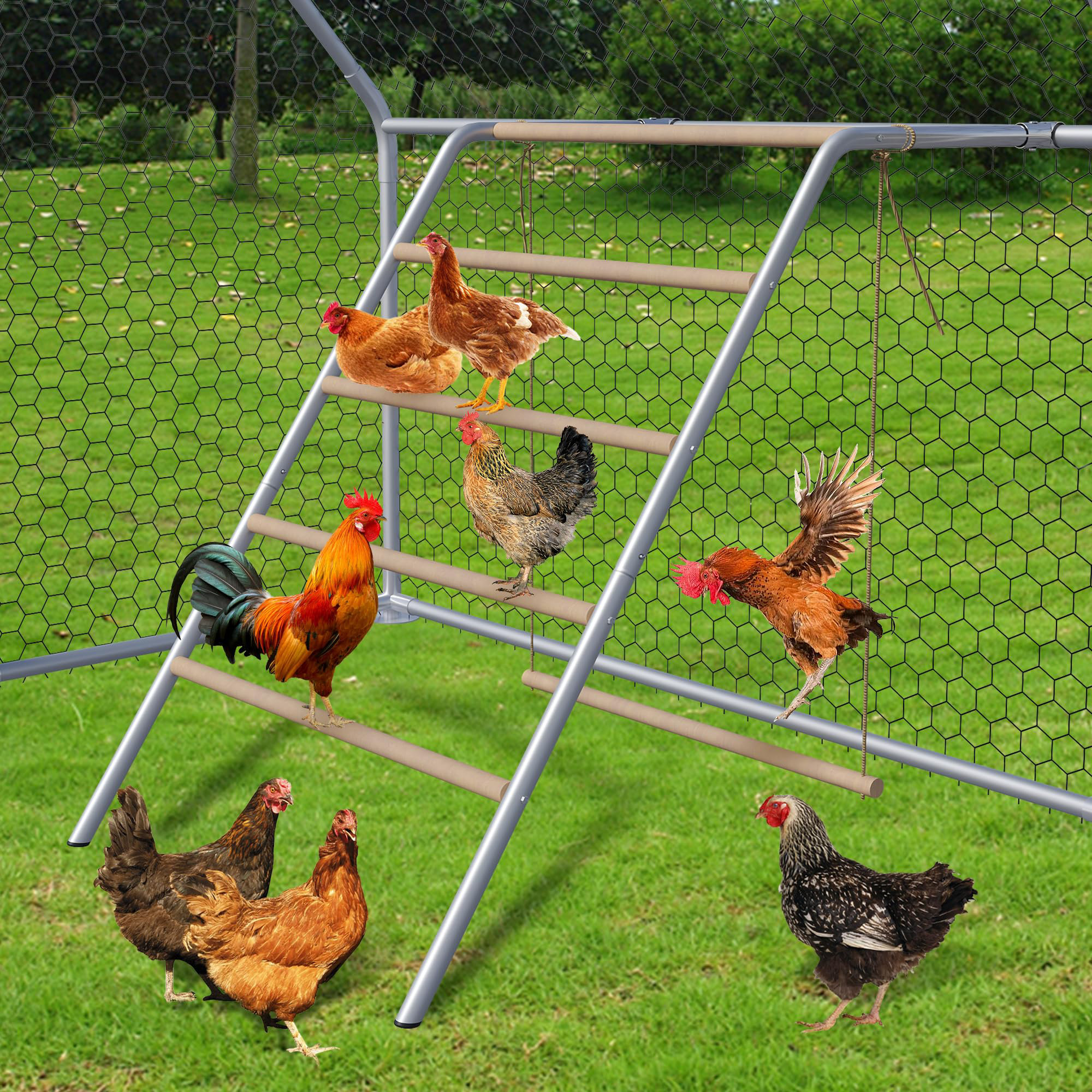 Gracie Oaks Chicken Coop Perches With Chicken Coop Swing, Chicken Perch ...