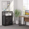 Inbox Zero 2-Drawer Lateral Filing Cabinet & Reviews | Wayfair