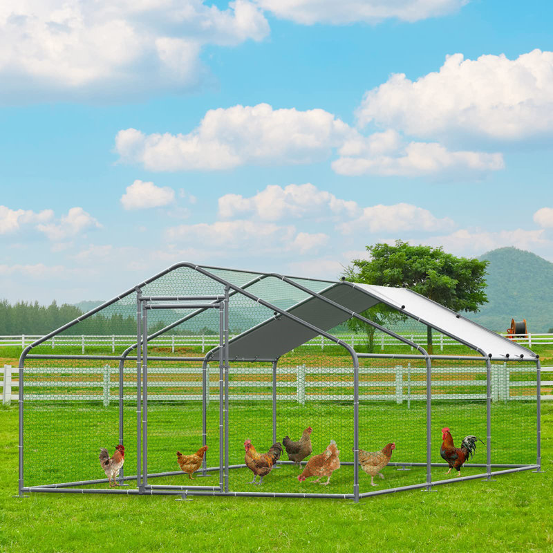 Tucker Murphy Pet™ Chiriac Chicken Run & Reviews | Wayfair