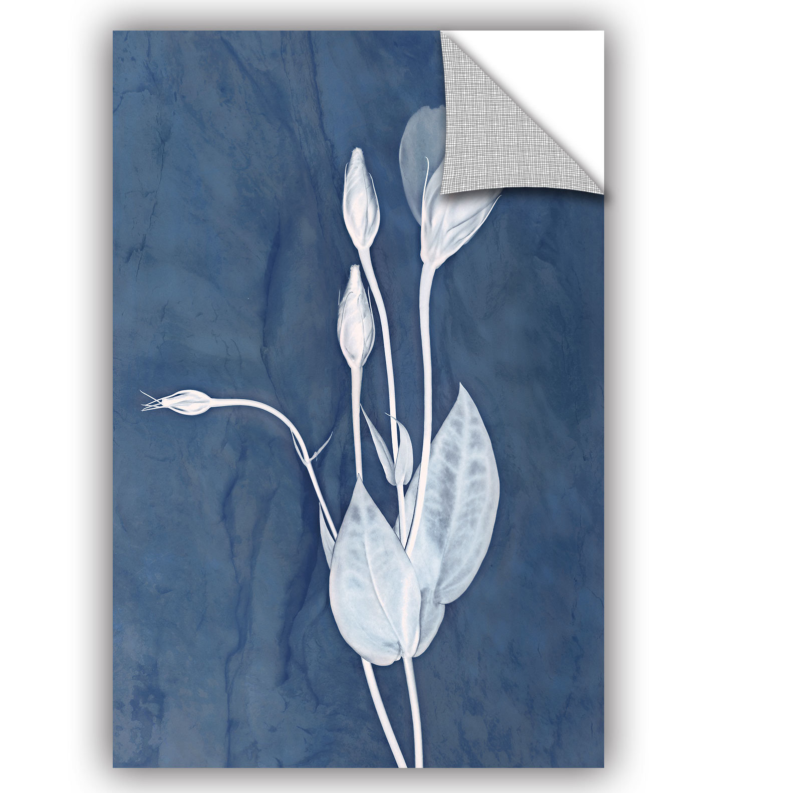 Ebern Designs New Openings in Slate Removable Wall Decal - Wayfair Canada