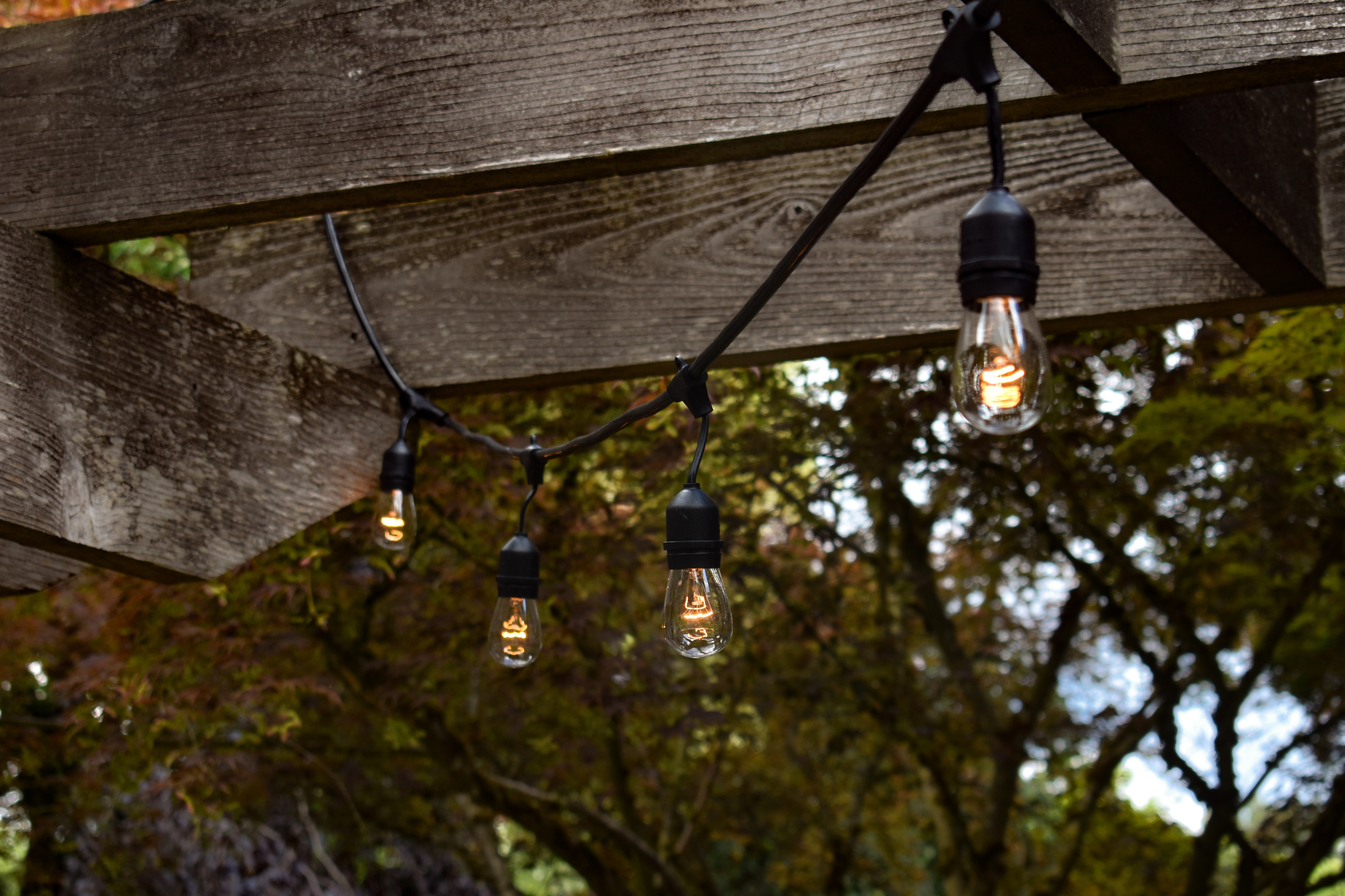 Arlmont & Co. Rentas Outdoor 8 - Bulb 24.5'' Plug-in String Light ...