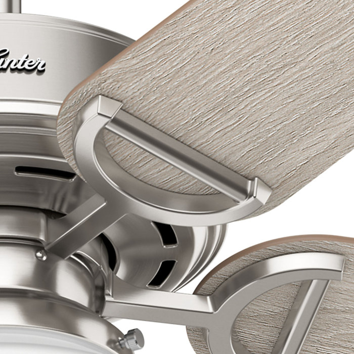 Hunter Fan 52" Viola 5 - Blade Standard Ceiling Fan with Pull Chain and ...