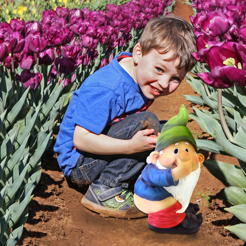 Design Toscano Stinky the Garden Gnome Statue & Reviews | Wayfair