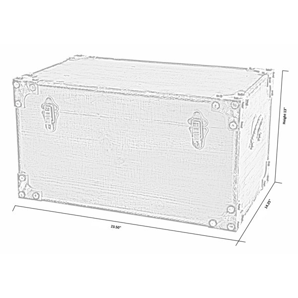 Breakwater Bay Rundell Decorative Trunk & Reviews | Wayfair